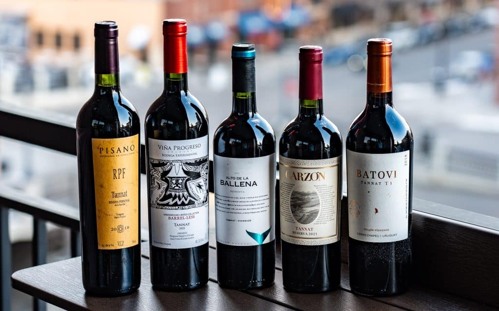 The Quiet Revolution: Why Uruguay is the BBC’s Must-Visit Sustainable ...